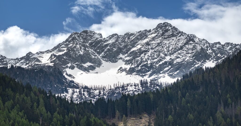 Guide pratique pour visiter le Parc Animalier Friedel à Illkirch ...