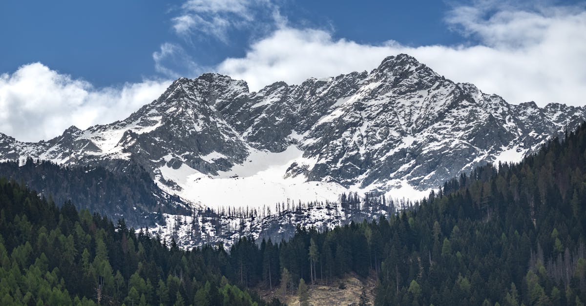 Guide pratique pour visiter le Parc Animalier Friedel à Illkirch ...