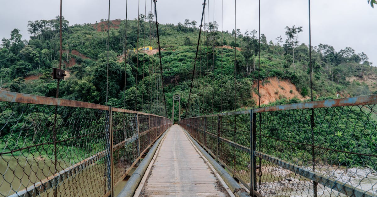 Guide pratique pour visiter le Parc Animalier Friedel à Illkirch ...