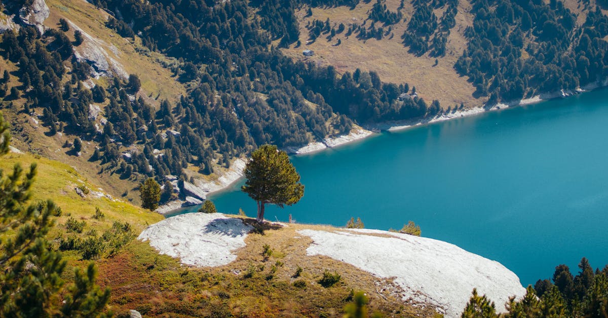 Guide pratique pour explorer le Parc Naturel Régional des Vosges du ...