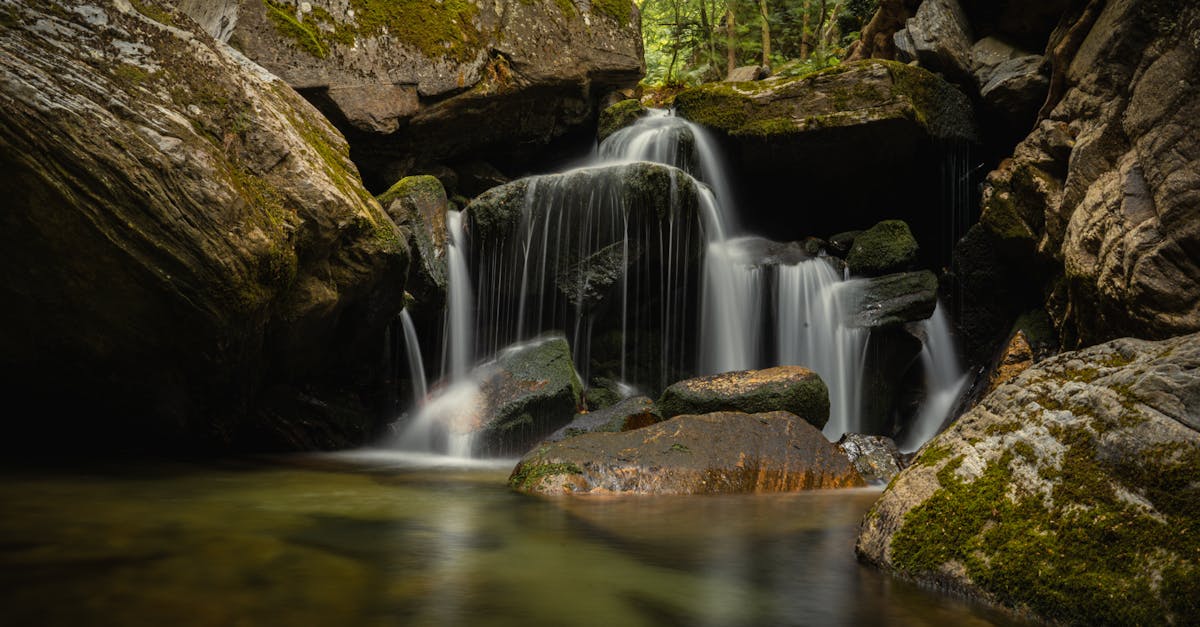 Guide pratique : Explorer le plan d'eau du Baggersee à Illkirch ...