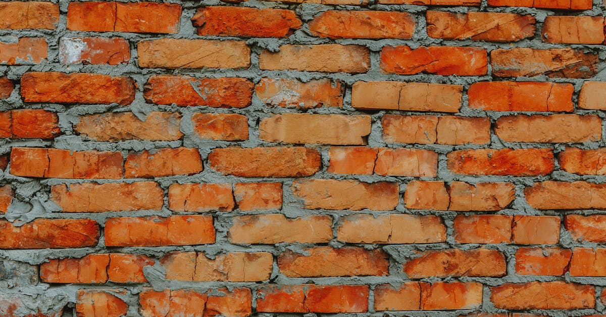 Guide pratique : Découverte du Block Out à Strasbourg - Strasbourg-Pratique