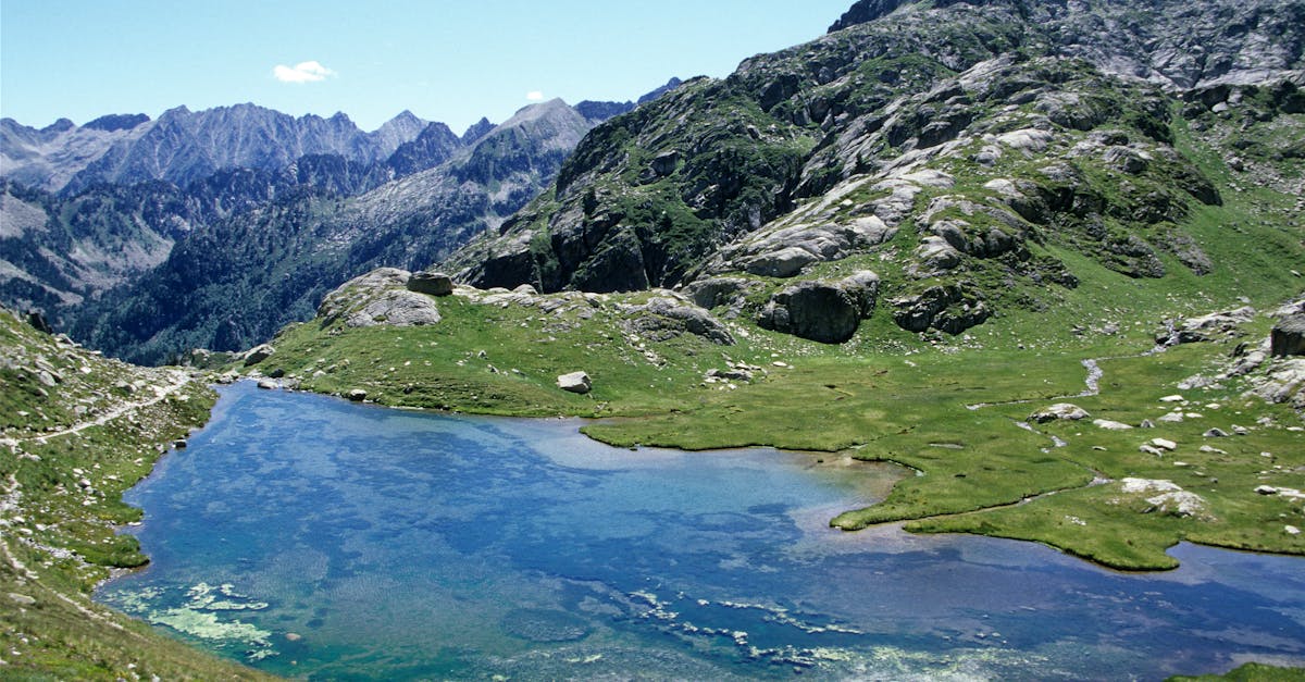 Guide pratique : Découverte du lac Achard à Illkirch-Graffenstaden ...