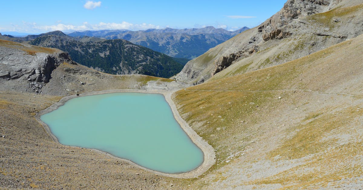 Guide pratique : Découverte du lac Achard à Illkirch-Graffenstaden ...