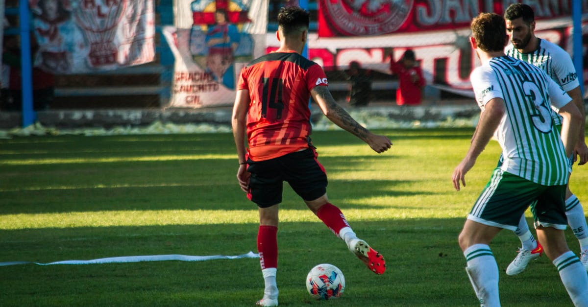 Guide pratique des loisirs sportifs à Strasbourg - Strasbourg-Pratique