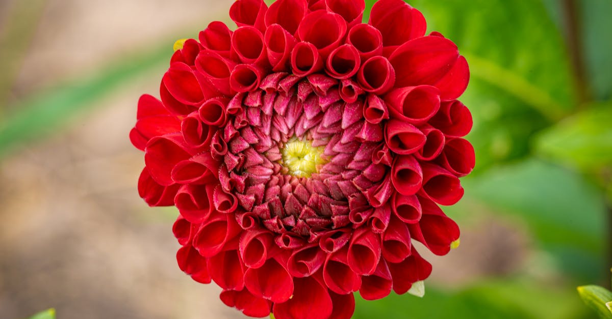 Guide pratique pour visiter le Parc du Fort Uhrich à Illkirch ...