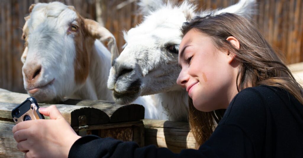 Guide pratique pour visiter le parc animalier S.R.P.O de la Wantzenau à ...